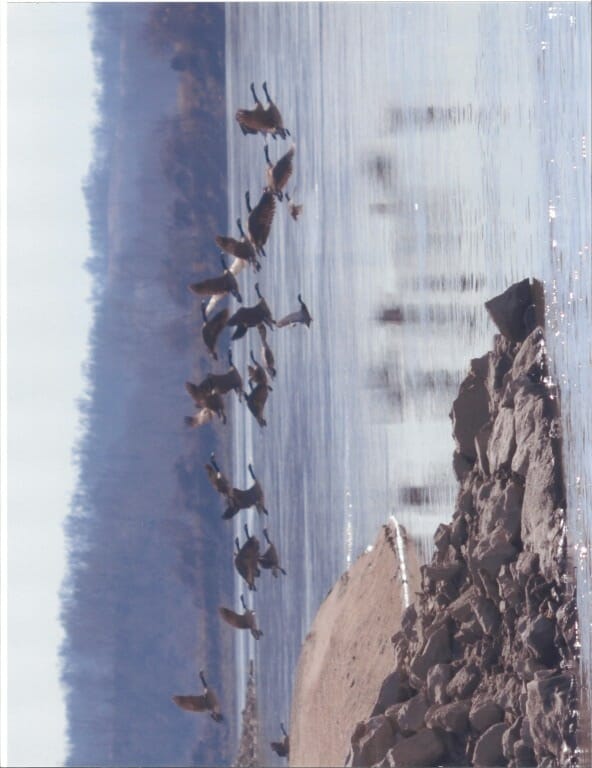 Missouri River Rafting | St. Joseph, MO Convention & Visitors Bureau